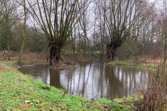 Waterbuffer natuurgebied Honegem bijna volledig gevuld: "Zonder twijfel ...