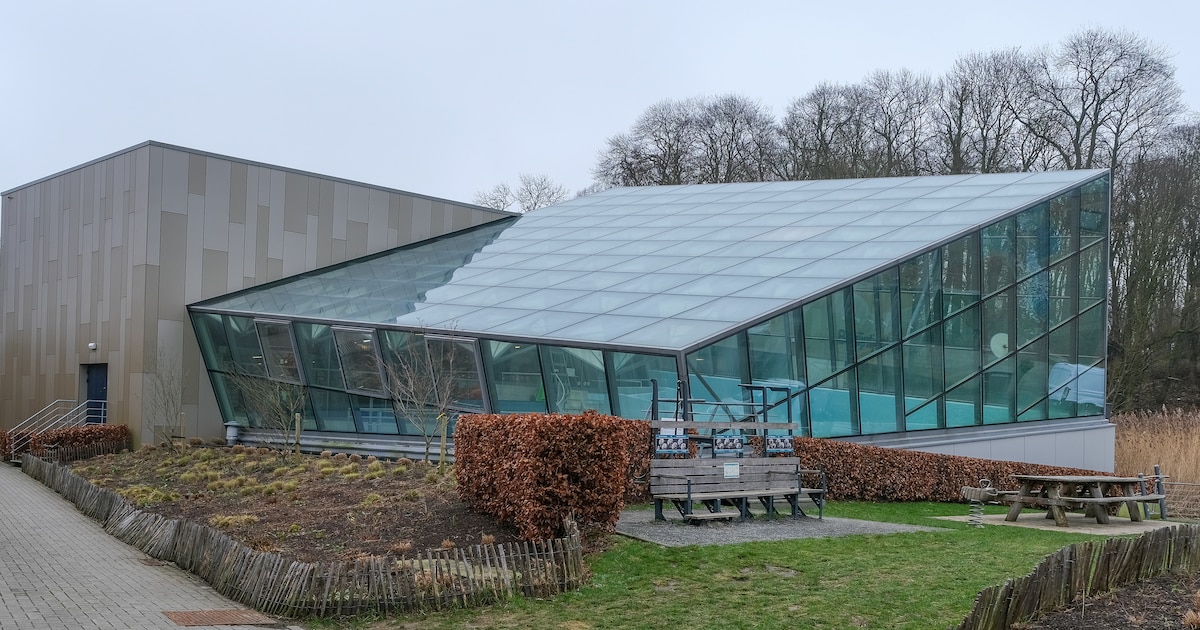 Begijntjesbad opent één baan voor baantjeszwemmers in namiddag ...