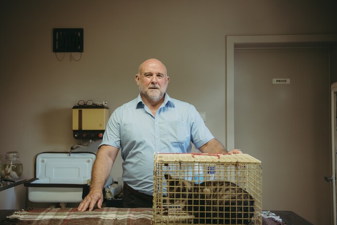 Al meer dan 200 klachten over ‘wondermedicijn’ voor honden en katten ...