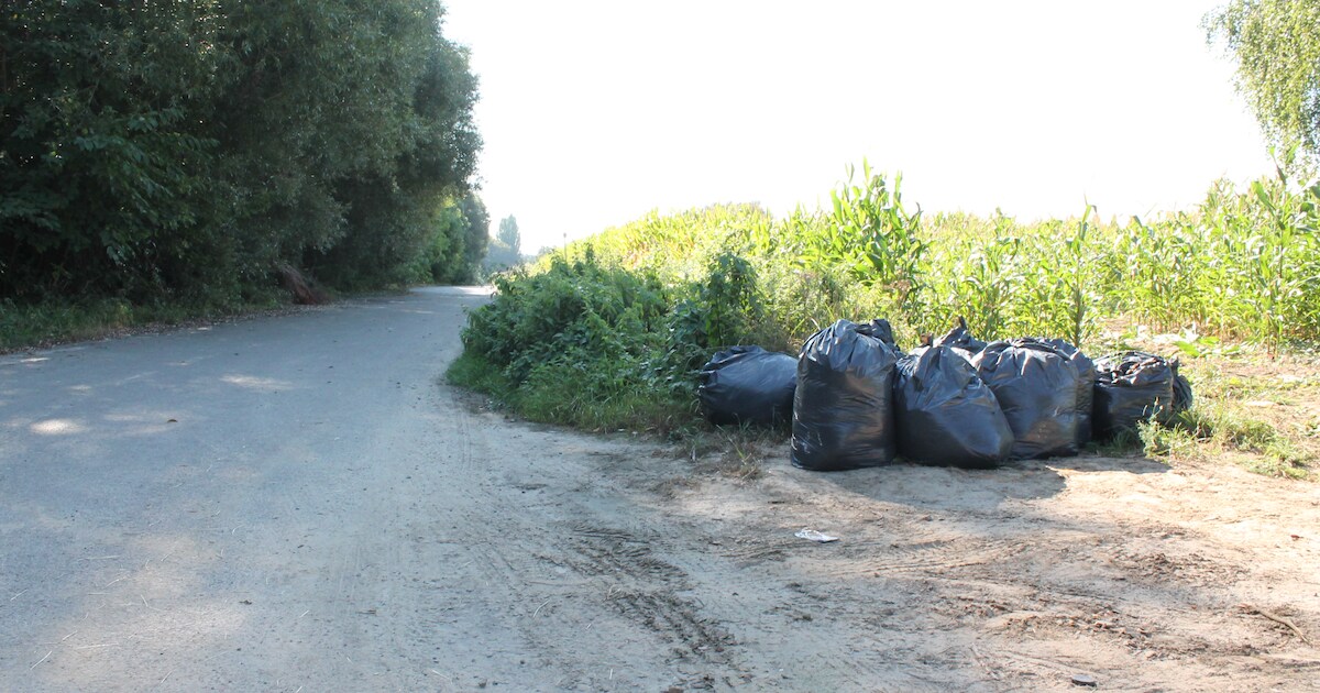 Zestien zakken slachtafval gedumpt | Regio | HLN.be