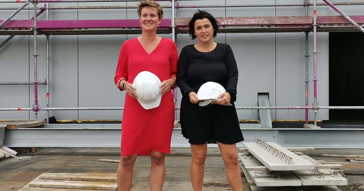 Duo deelt directiestoel bij GTI na vertrek van Gawein Verlot | Beveren ...