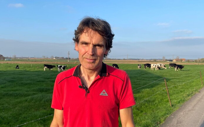 Boer uit Ieper ziet 59 koeien naar slachthuis vertrekken na virale ...