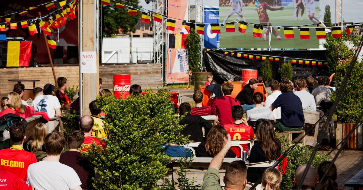Rode Duivels ook op groot scherm te volgen bij Bar Woest in Wuustwezel ...