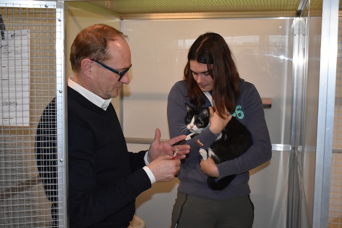 Minister Weyts (N-VA) stelt kater Robert voor als ‘Asieldier van de ...