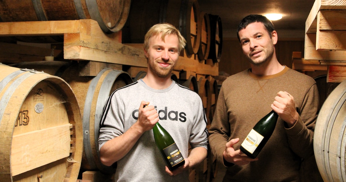 Geuzestekerij Ambreus uit Buizingen verkoopt bier tot in Zuid-Korea: “De champagne onder de ...