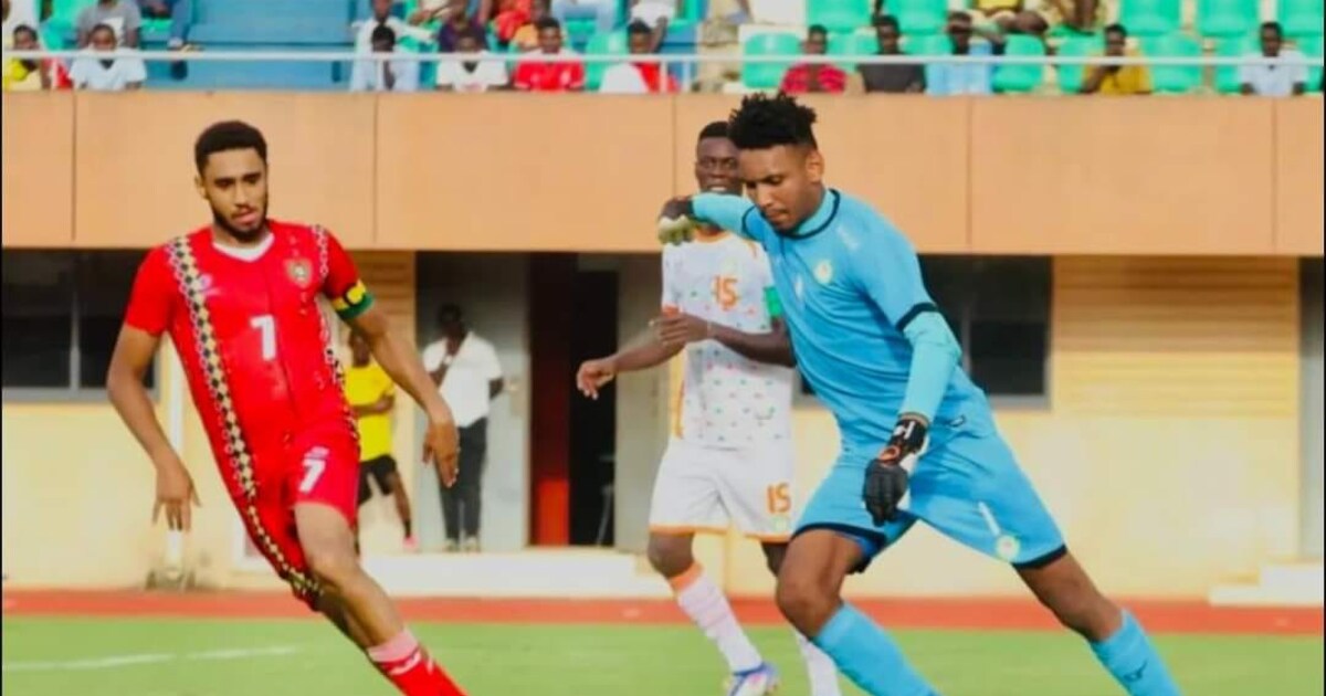 Ninove-coach Alan Haydock bewaart rust na vier nederlagen op rij: “Geen ...