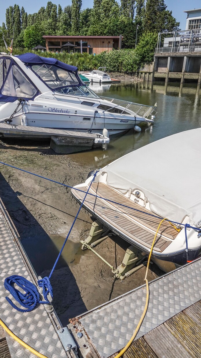Plots staat water van de Leie een meter lager, boten zitten vast in het slijk: “Vanmorgen keken ...