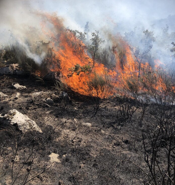 Brandweerman Thijs (36) helpt bosbranden blussen in Portugal: “Onze ...