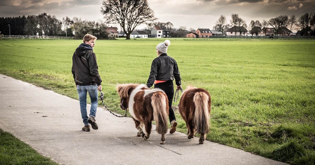 Zonnig weekend met zachte temperaturen op komst | Weernieuws | HLN.be
