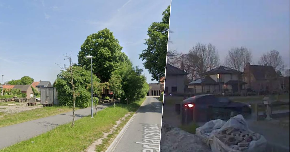 Snelheidsduivel rijdt kat dood in Stekene, maar dat bekoopt hij met... pak rammel van baasje ...