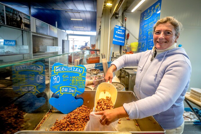 Kustvissers halen nog altijd bitter weinig garnalen uit de Noordzee ...