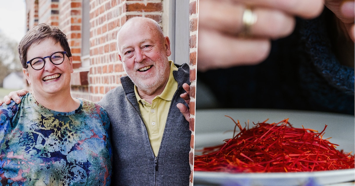 Saffraan van Linda (67) en Marc (69) wordt zelfs tot in het koningshuis ...