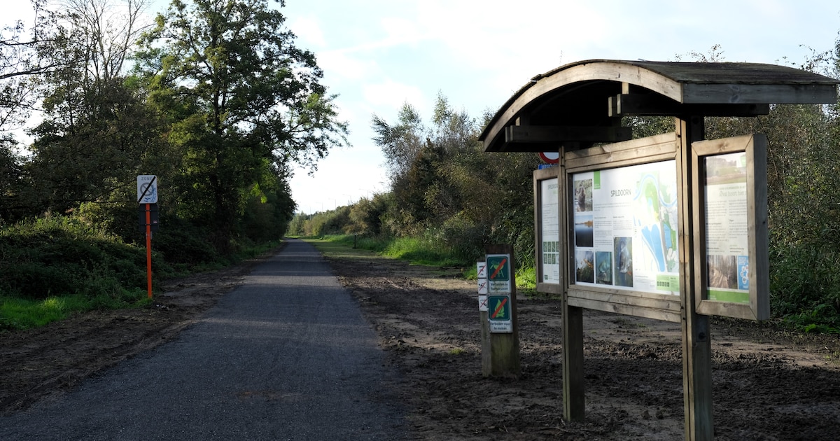 Ontharding Spildorenlaan en ecotunnel helpen dieren op weg: “Gaat ...