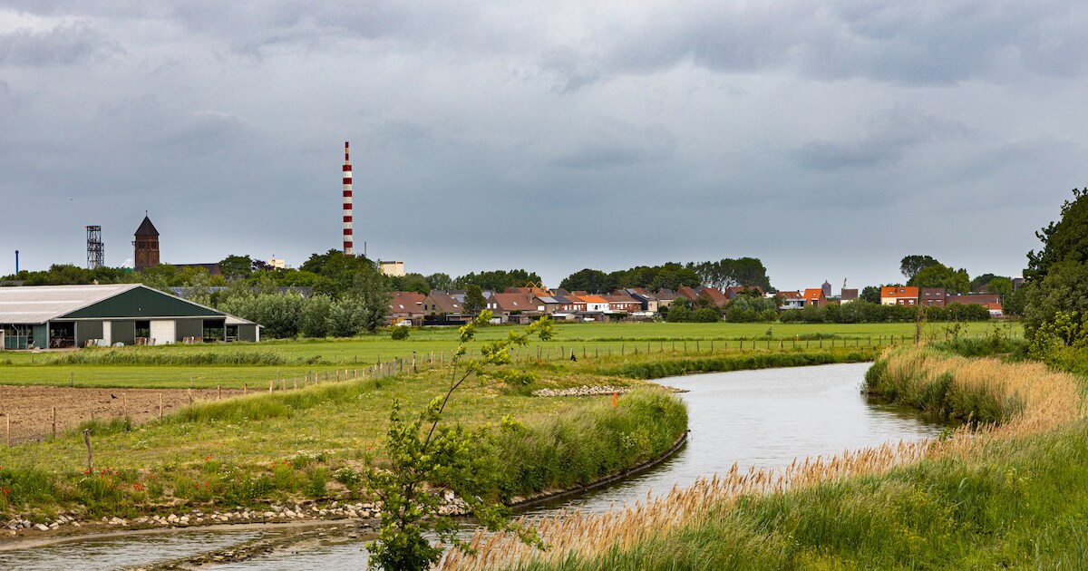 450 nieuwe bomen en struiken op komst in koppelingsgebied Rieme-Zuid ...