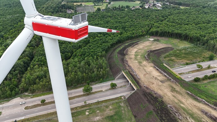 Splinternieuw ecoduct in Lommel verbindt natuurgebieden: “Veiliger voor ...