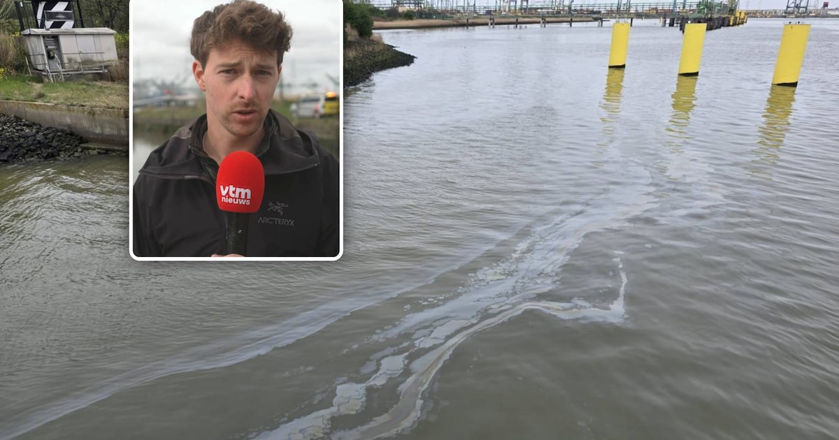 Schelde deels weer open voor scheepvaartverkeer na groot olielek: “Er ...
