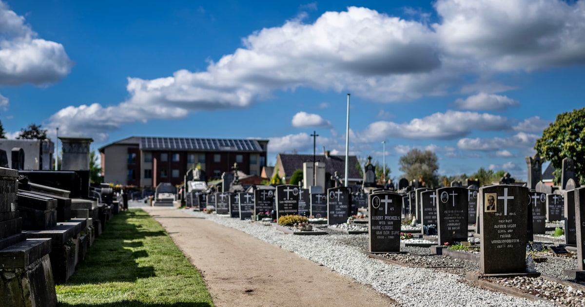 Verfraaiingswerken aan begraafplaats Overmere | Berlare | hln.be