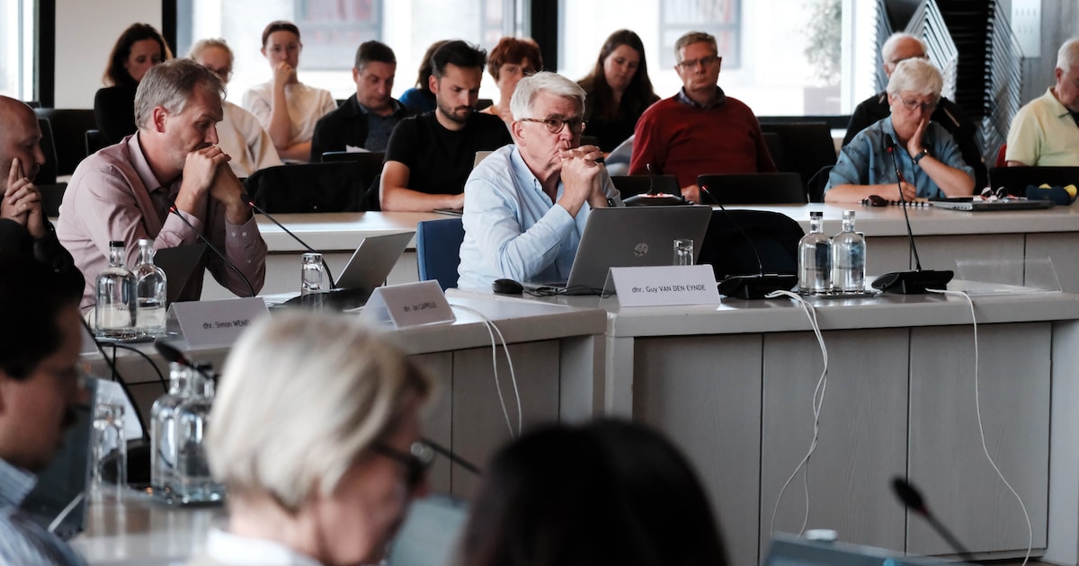 Groen Waregem maakt zelf ludieke toespeling op AI-uitschuiver Petra De ...