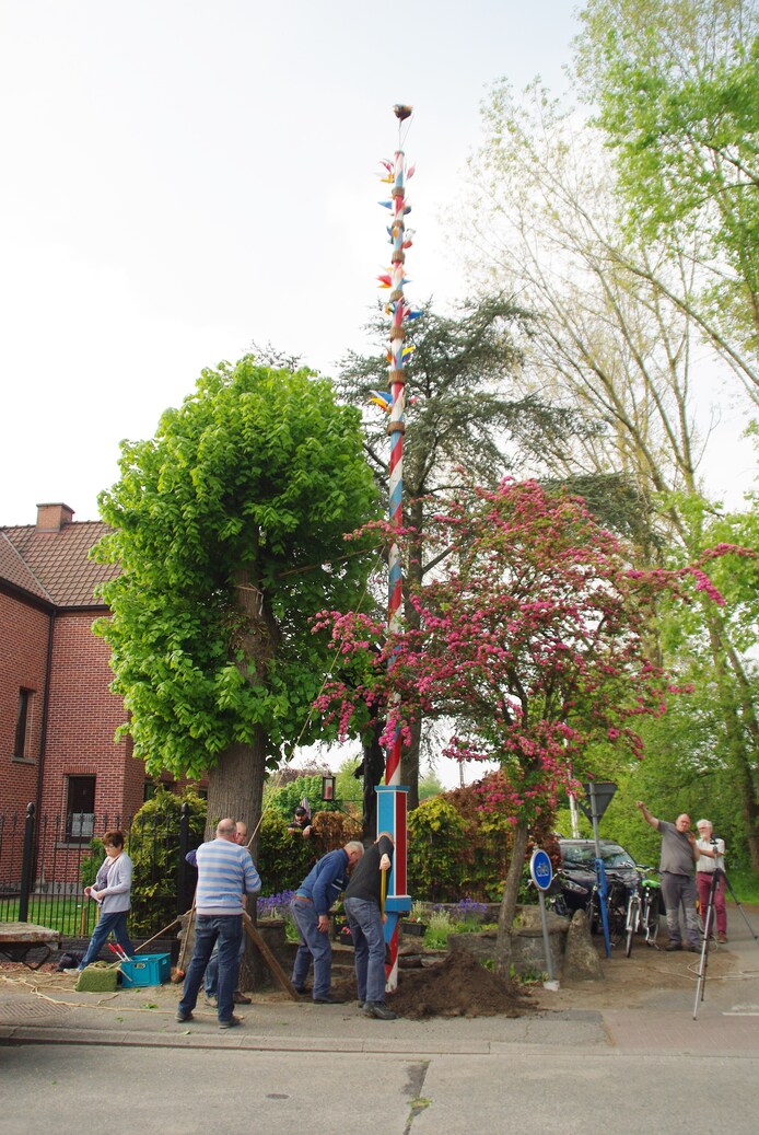 Gilde Van het Heilig Kruis plant maandag meiboom | Waasmunster | hln.be