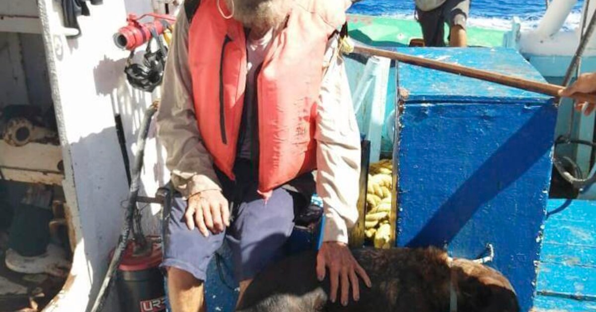 Australische zeiler die drie maanden in de Stille Oceaan ronddobberde ...