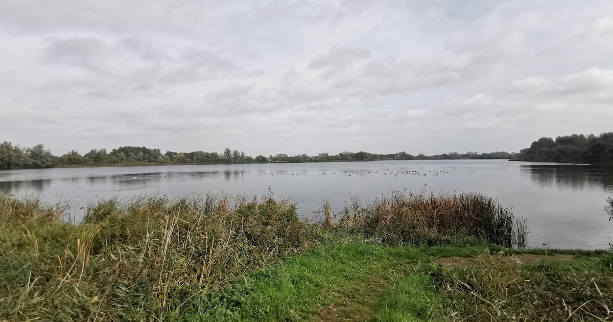 Natuurwandeling in De Hoge Dijken | Oudenburg | HLN.be