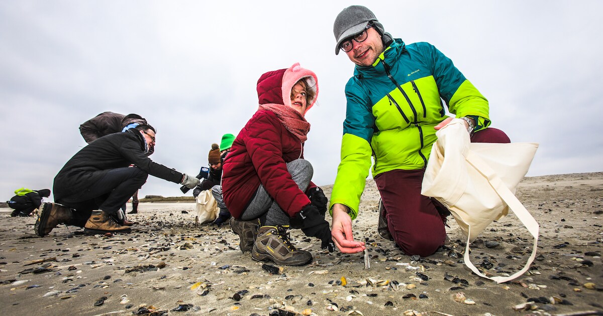 ONZE TIPS VOOR HET WEEKEND: Schelpen tellen, sterren kijken en bunkers ...
