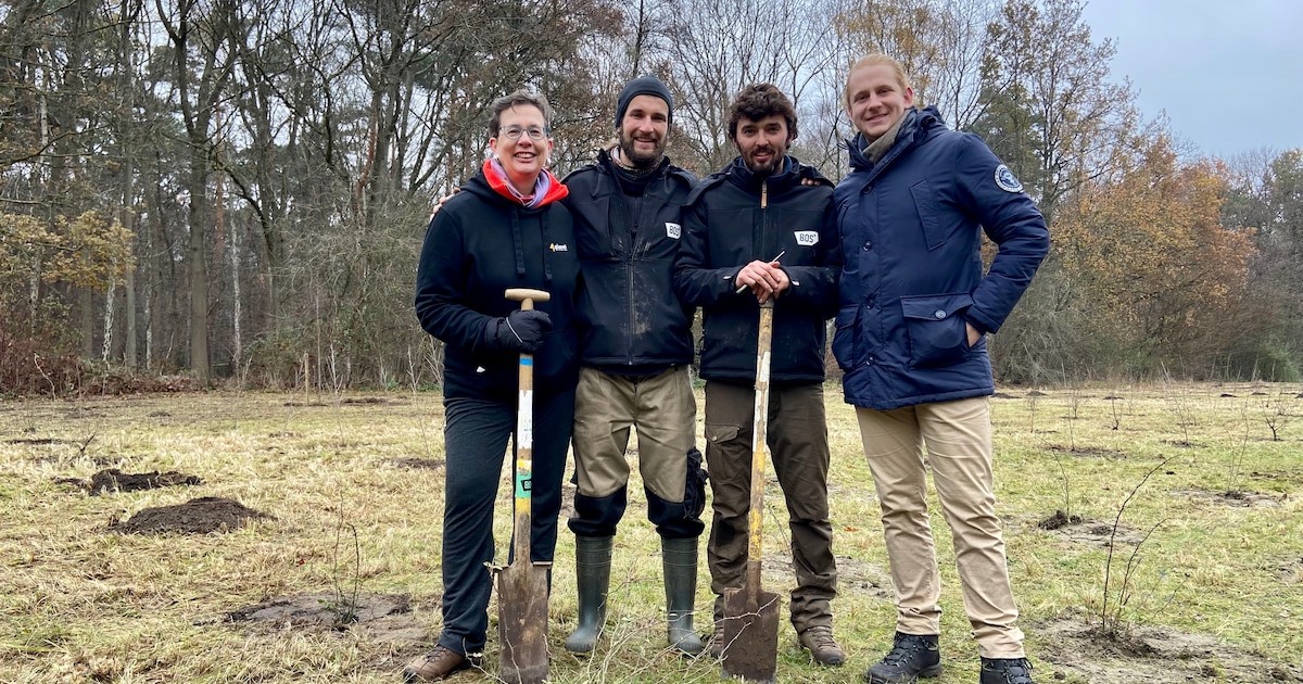 Kleine 200 vrijwilligers helpen klimaatbeweging bosrand aanplanten ...