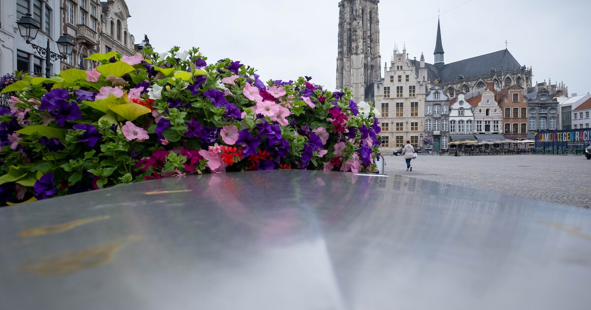 Mechelen checkt 100 logies op vergunningen: “Voor een eerlijk speelveld ...
