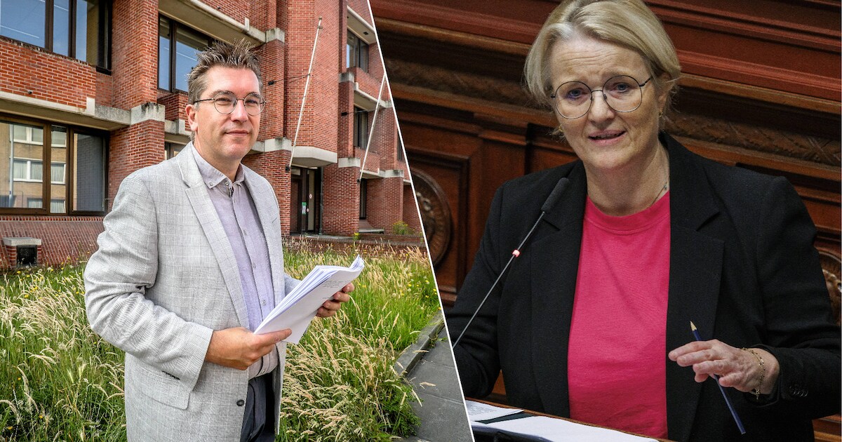 Nathalie Muylle en Franky Demon praten in ‘Brugse Babbel’ over ...