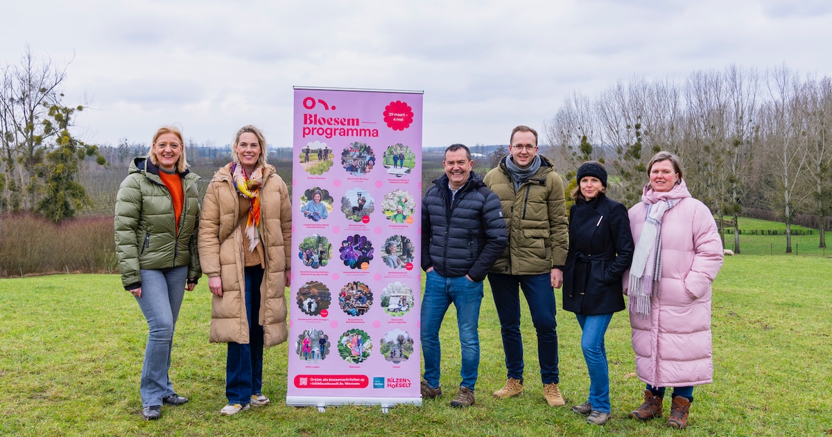 Bilzen-Hoeselt lokt bloesemtoeristen met spectaculaire zipline en ...