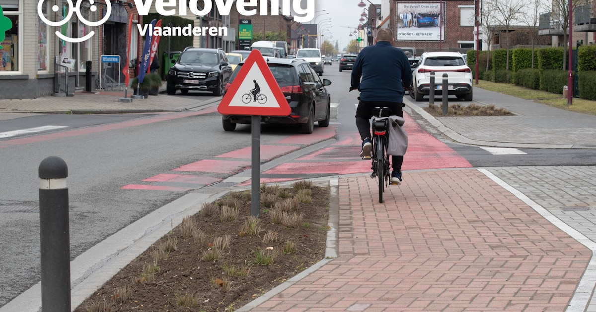 Eén jaar na VeloVeilig Vlaanderen: rugdekking maakt fietsen in de ...