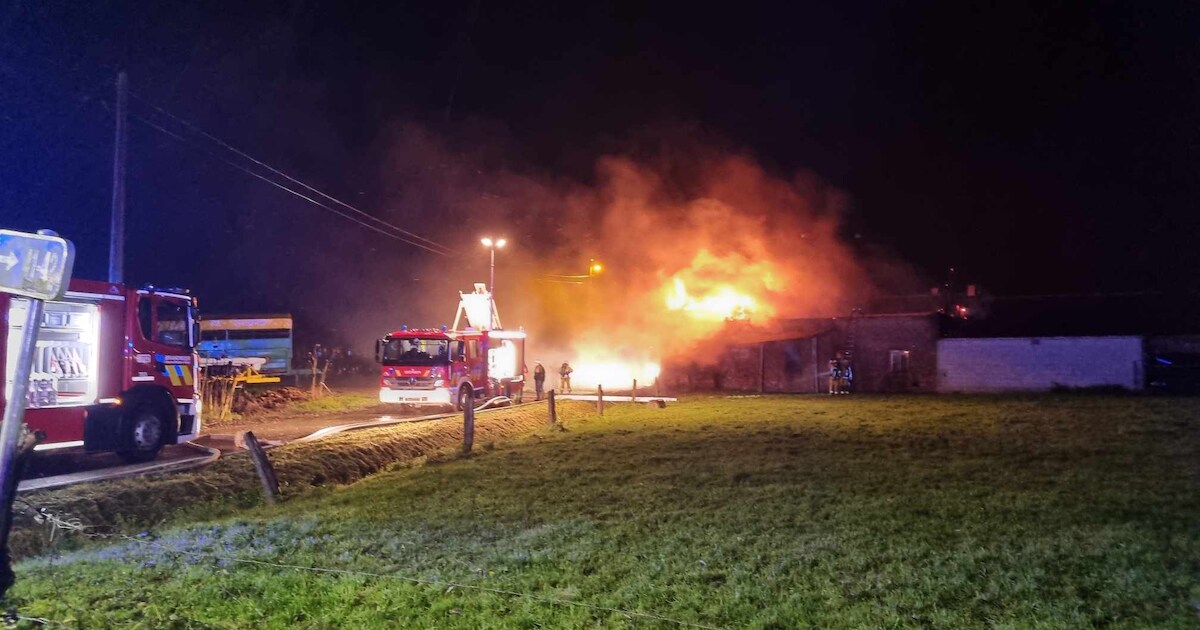 Pyromaan van Bever binnen twee weken voor rechter | Bever | hln.be