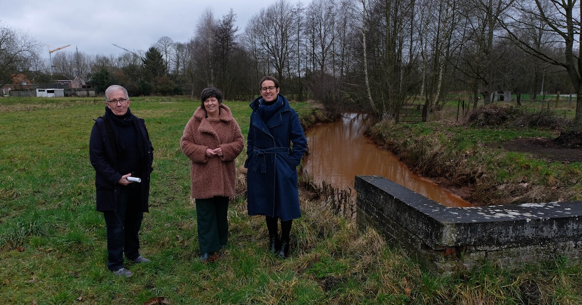 Nijlen zoekt mensen met mening over Beekpark Zuid | Nijlen | HLN.be