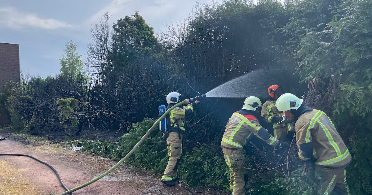 Haag vat vuur bij onkruidverdelging rond schildersatelier: “Had ...