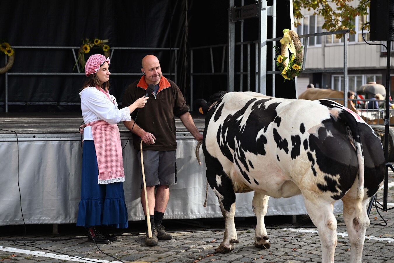 KIJK. Veeprijskamp kan jong en oud bekoren op Jaarmarkt Leuven | Foto | hln.be