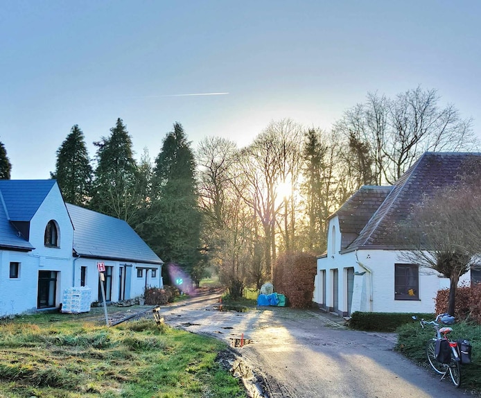 Snoeiwerken aan de Bevelse dreef zijn afgerond: “Er wacht de dreef ...