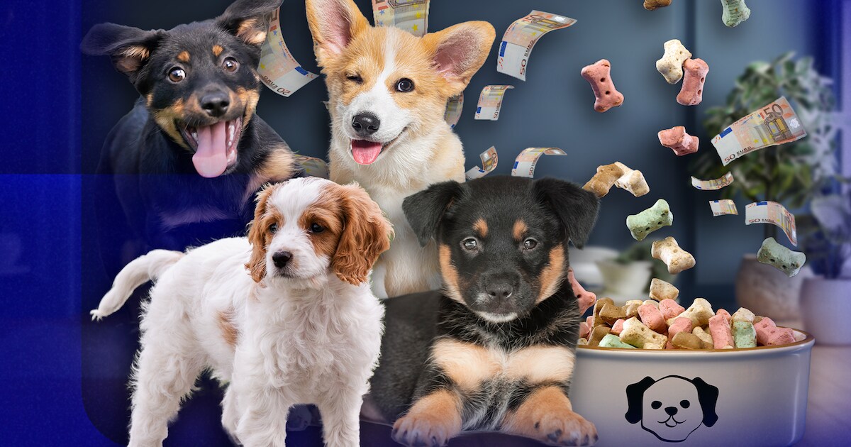 155 euro per maand aan hondenvoer? Moet je hond echt dure voeding ...