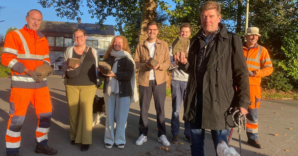 Groendienst wint titel ‘Baanbreker’ met ontharding van verlaten parking ...