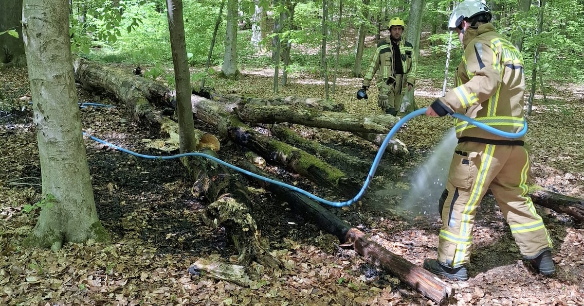 Omstaanders blussen zelf brand in bos aan De Kluis | Regio | HLN.be