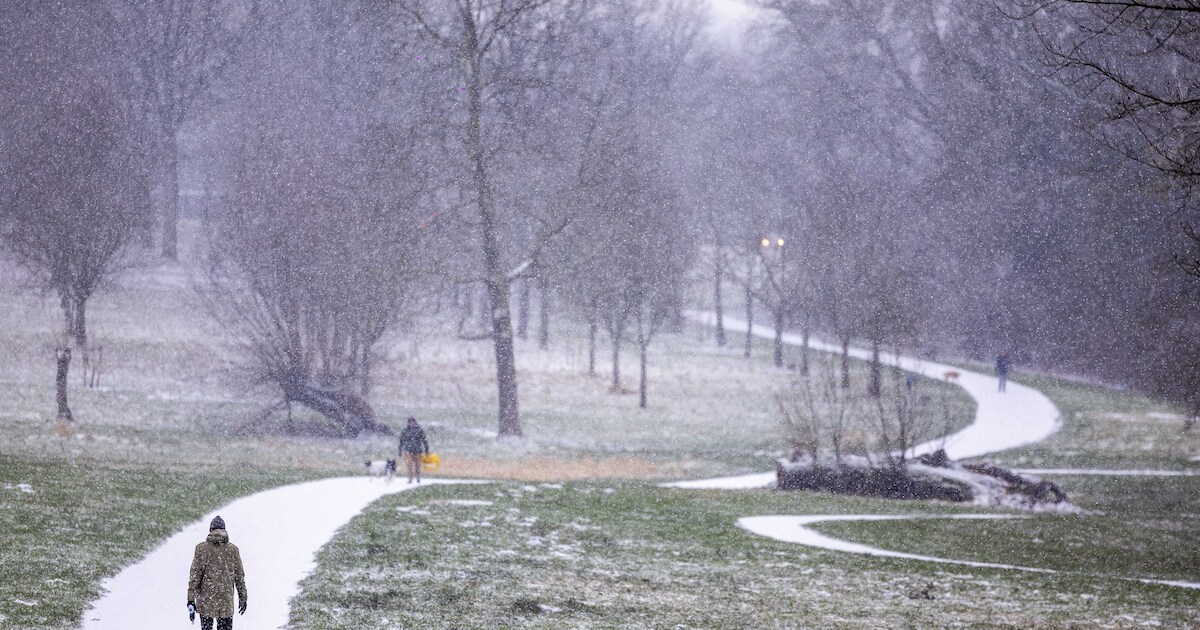 WEERBERICHT. KMI waarschuwt voor lokale mistbanken en rijmplekken ...