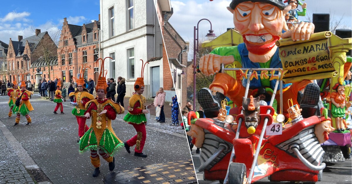 Carnaval in het Waasland en Dendermonde: hier trekt de stoet door de ...