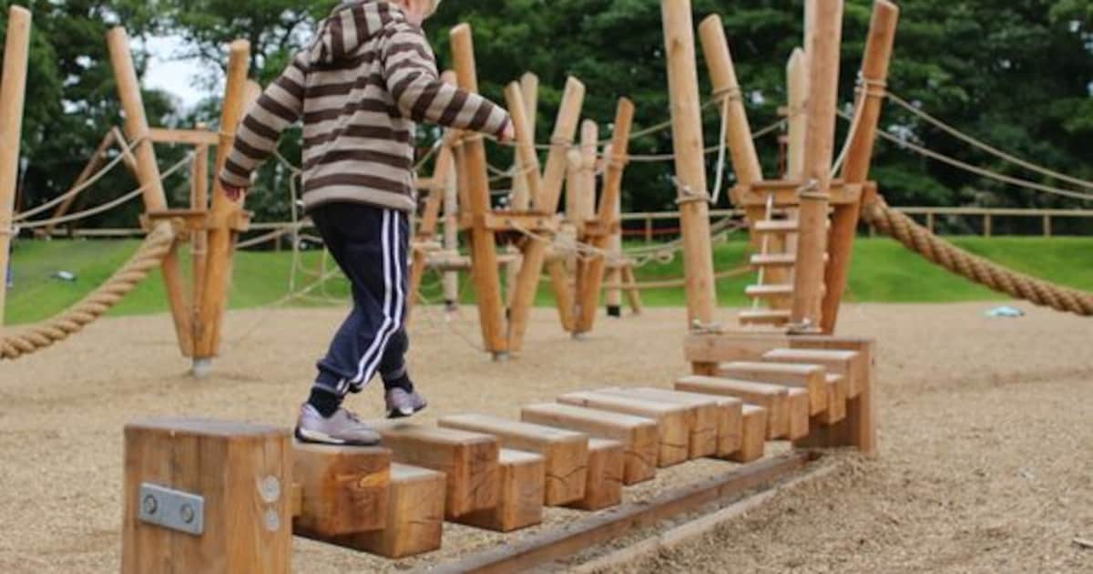 Openluchtklassen, meer buitenspeelruimte en extra bomen: Sint-Calasanz ...