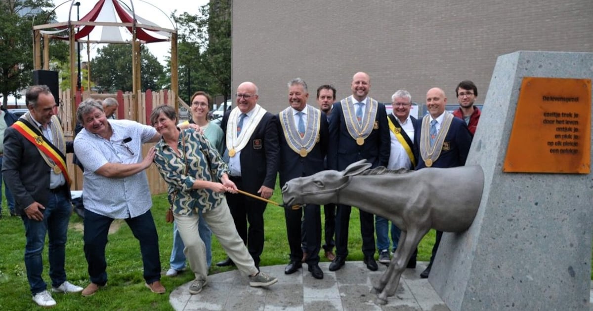 Standbeeld ‘de koppige ezel’ is ode aan inwoners 900-jarig Kuurne ...