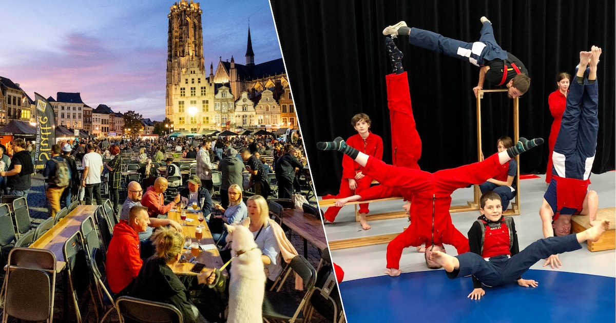 Wat te doen in regio Mechelen dit weekend? Van bierfestival tot 25 uur non-stop circus ...