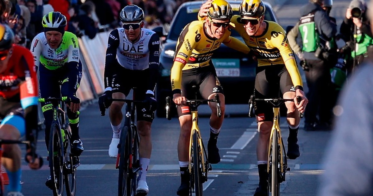 Wat te doen in het zuiden van West-Vlaanderen dit weekend: van koersen ...