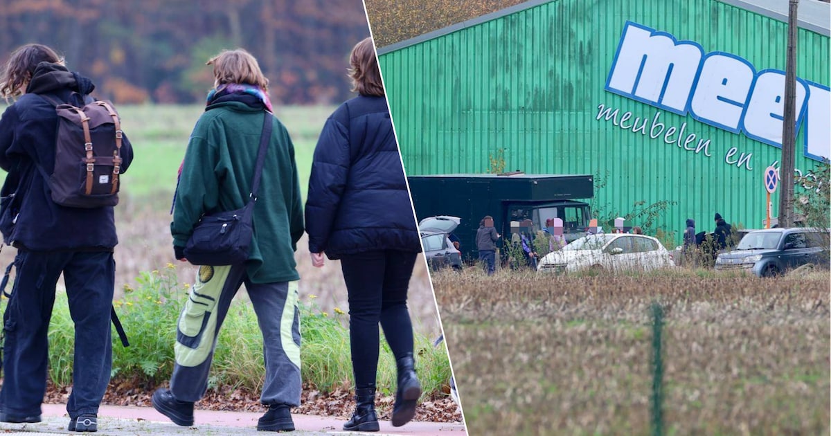 Beelden tonen afval en vernieling na illegale rave in Peer ...