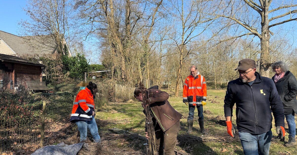 Zemst plant speelbos met 715 inheemse bomen: “De bomen zullen als een ...
