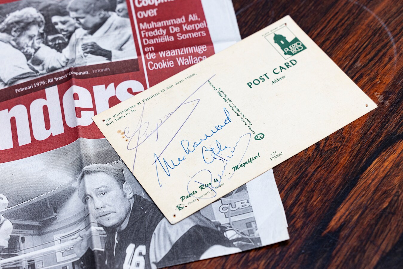 “Ik was vastbenoemd maar het voelde als een gouden kooi”: alleenstaande ...