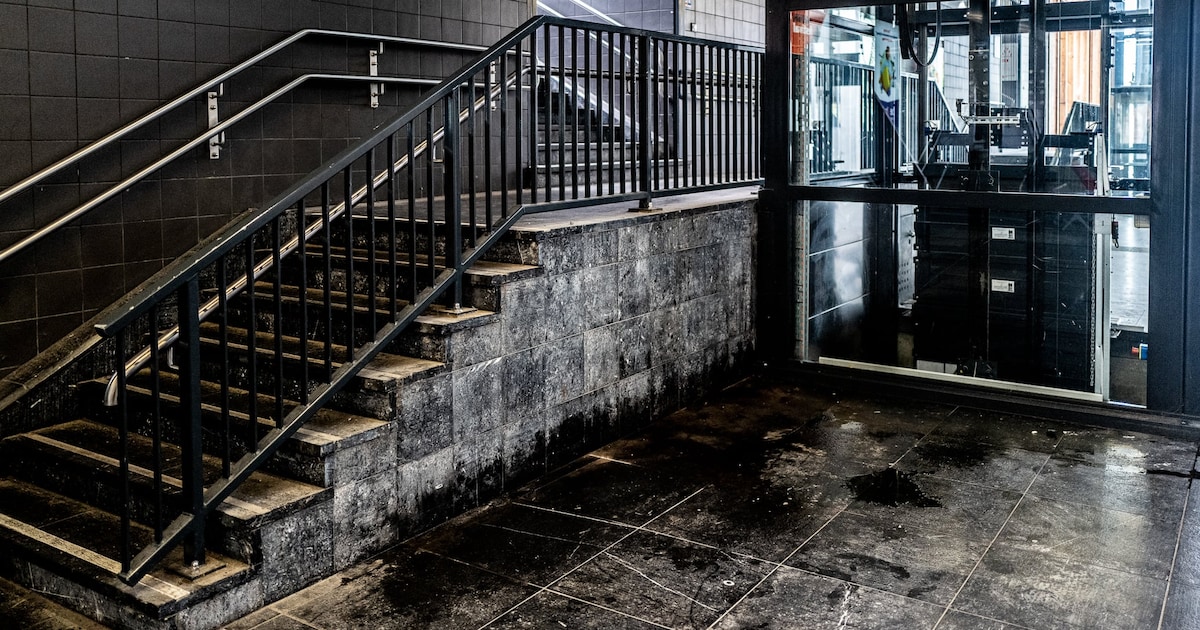 De nieuwe stationstunnel van Aalst is één groot openbaar pissijn: “En ...