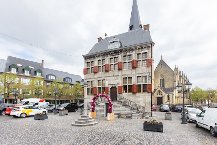 Dit verandert er voor Bilzen en Hoeselt in de nieuwe fusiegemeente Bilzen-Hoeselt: Wat met de ...